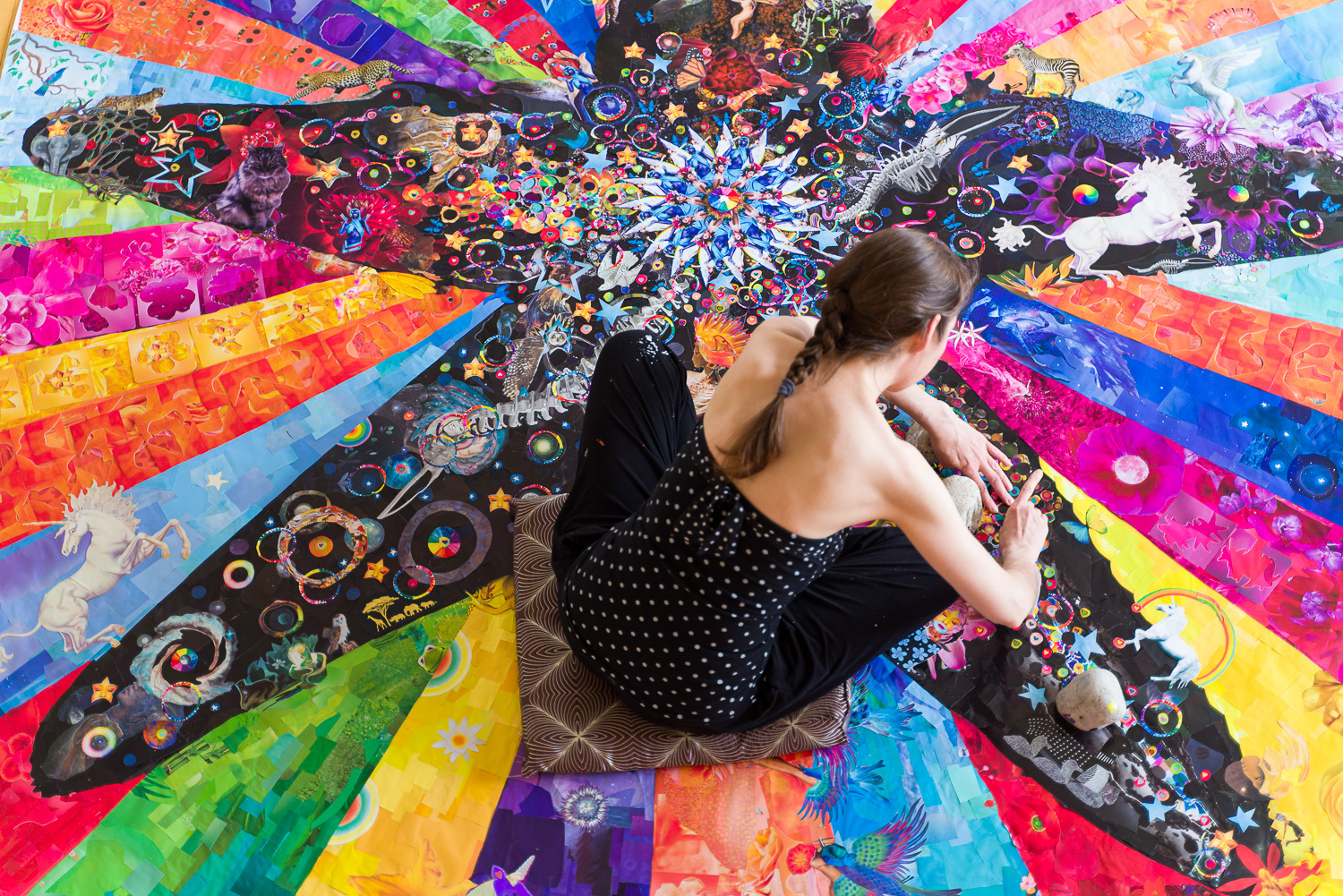 Laura Hollick | laura hollick star collage