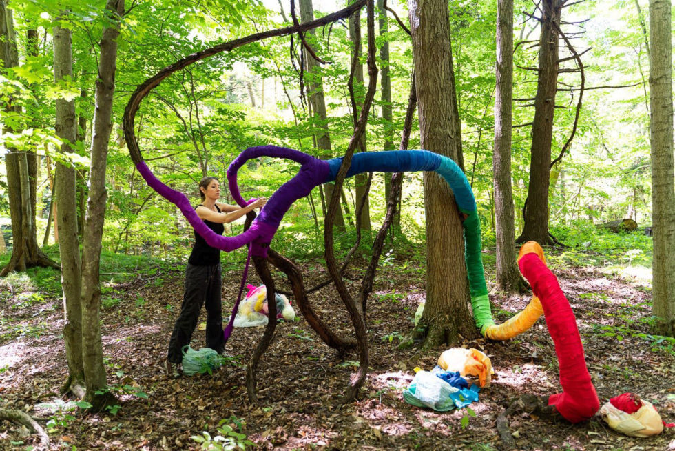 Laura Hollick | Making a Rainbow Vine